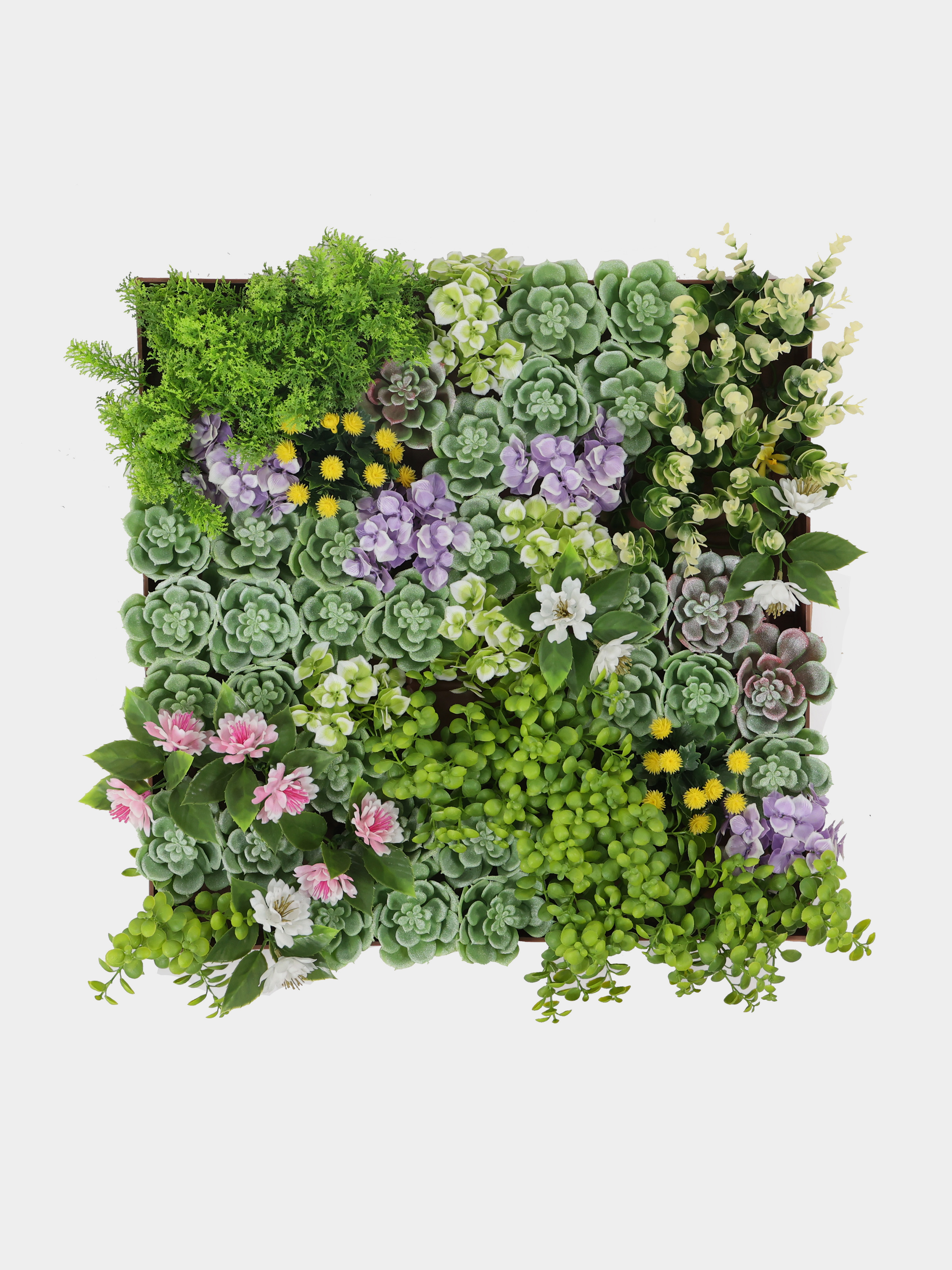 Декор Engard Фітокартина "Таємниця" - купити за вигідною ціною у Києві, Україні | INTERTOP