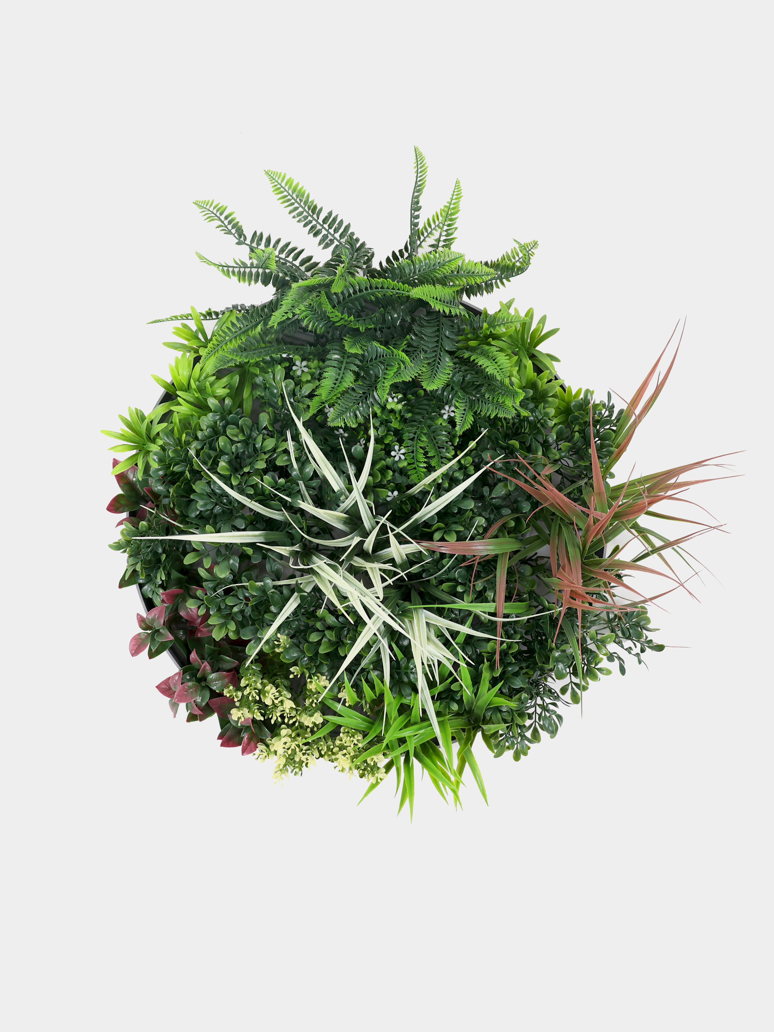 Декор Engard Фітокартина "Галактика" - купити за вигідною ціною у Києві, Україні | INTERTOP