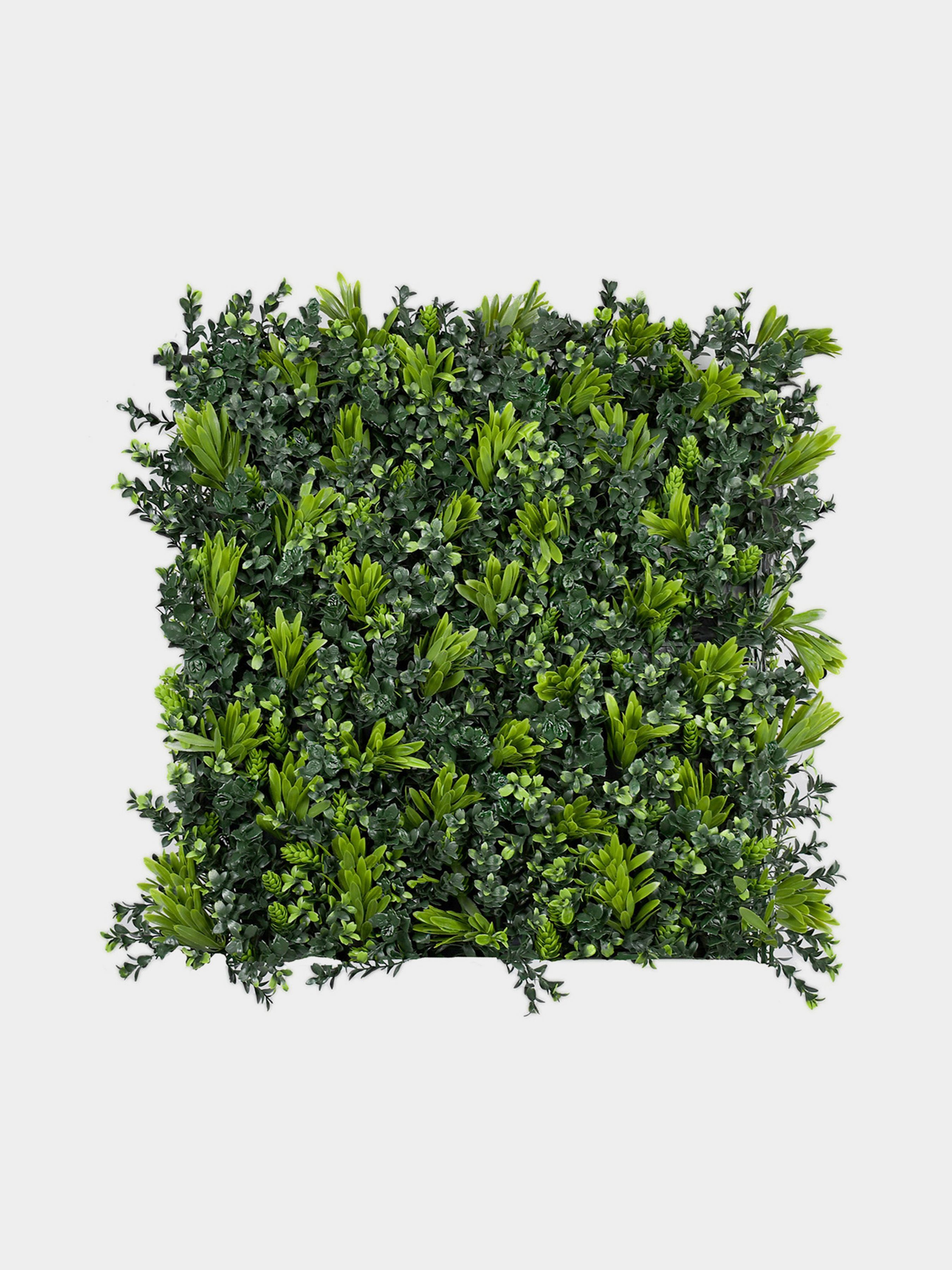 Декор Engard Декоративне зелене покриття-фітостіна "Патіо мікс ...