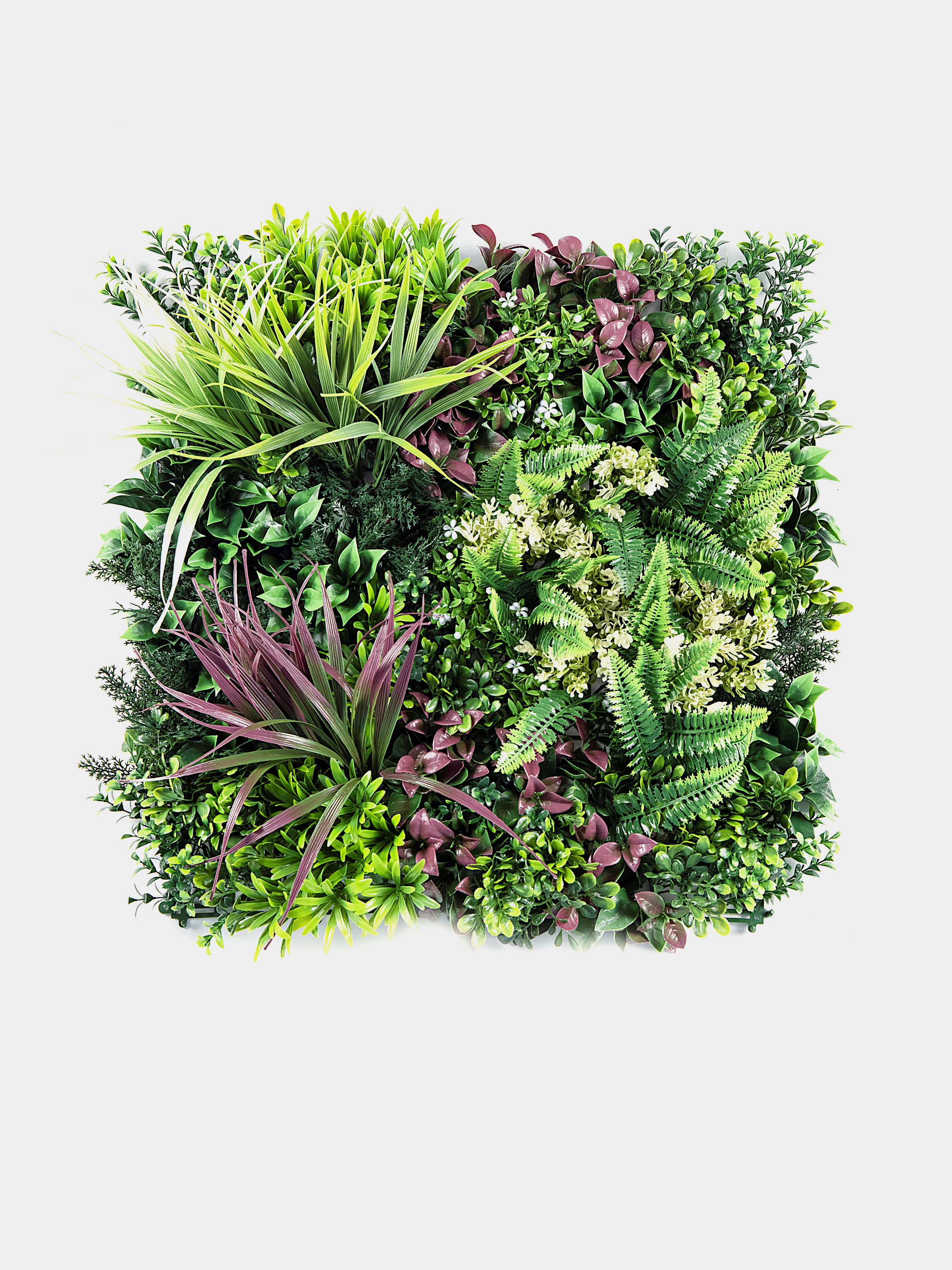 Декор Engard Декоративне зелене покриття-фітостіна "Gaya", комплект 3 ...