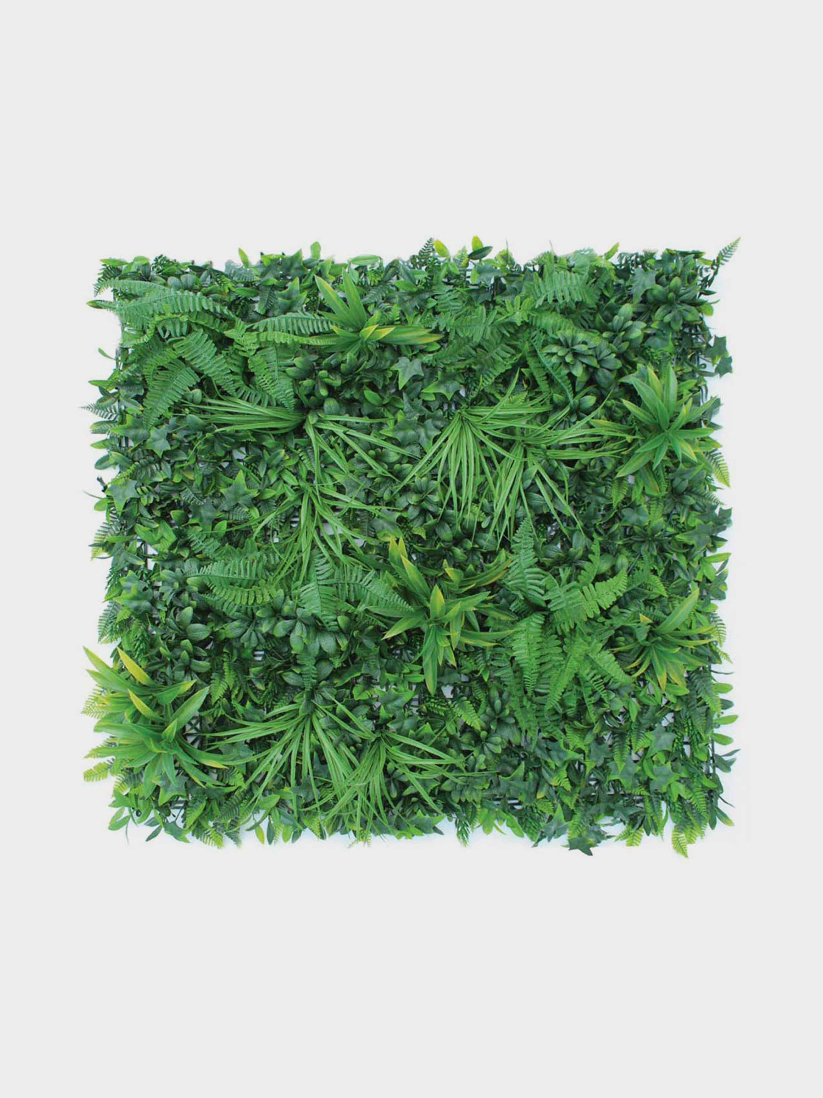 Декор Engard Декоративне зелене покриття-фітостіна-фітостіна "Джунглі" - купити за вигідною ...