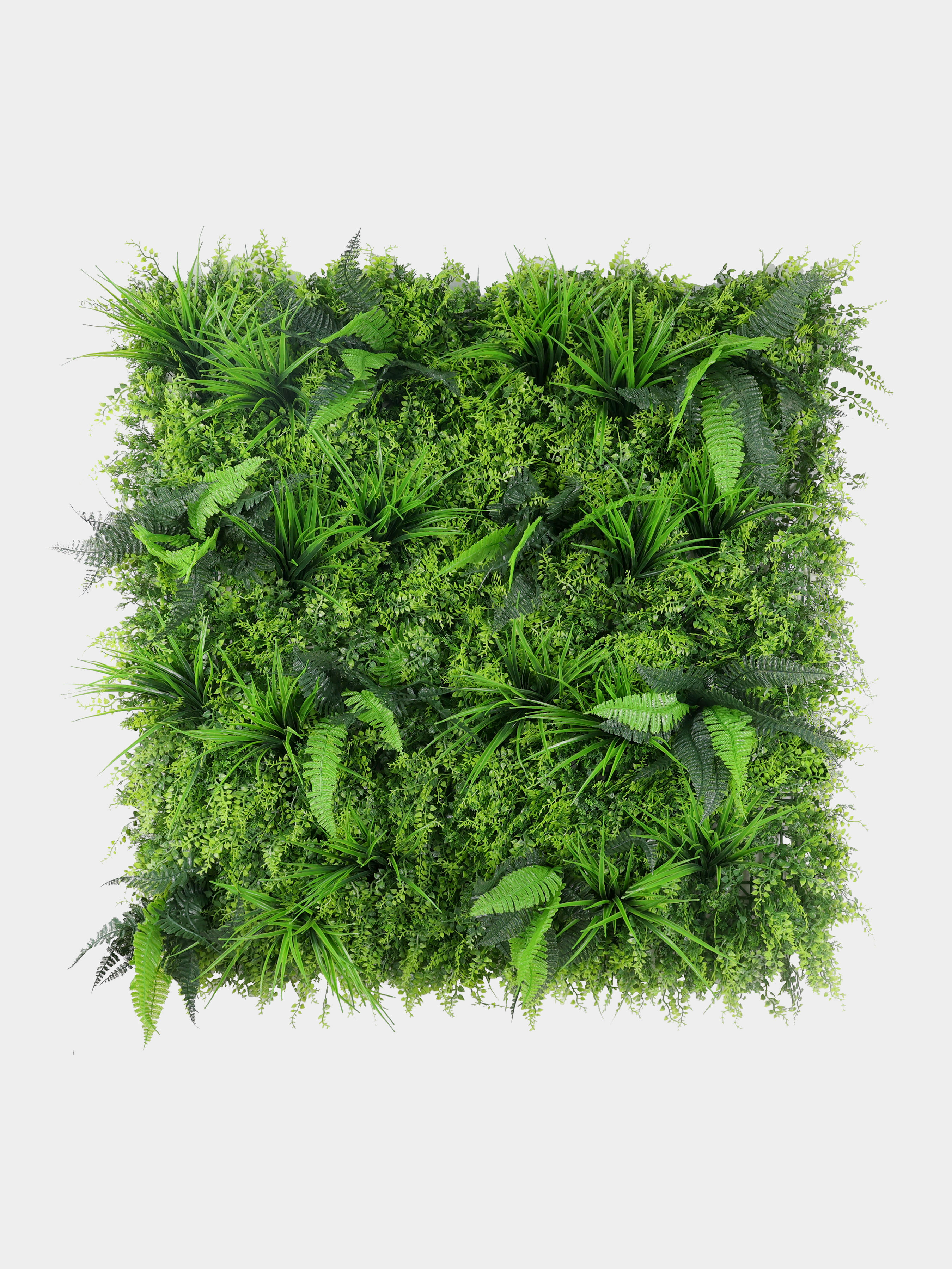 Декор Engard Декоративне зелене покриття-фітостіна "Грінея" - купити за вигідною ціною у Києві ...