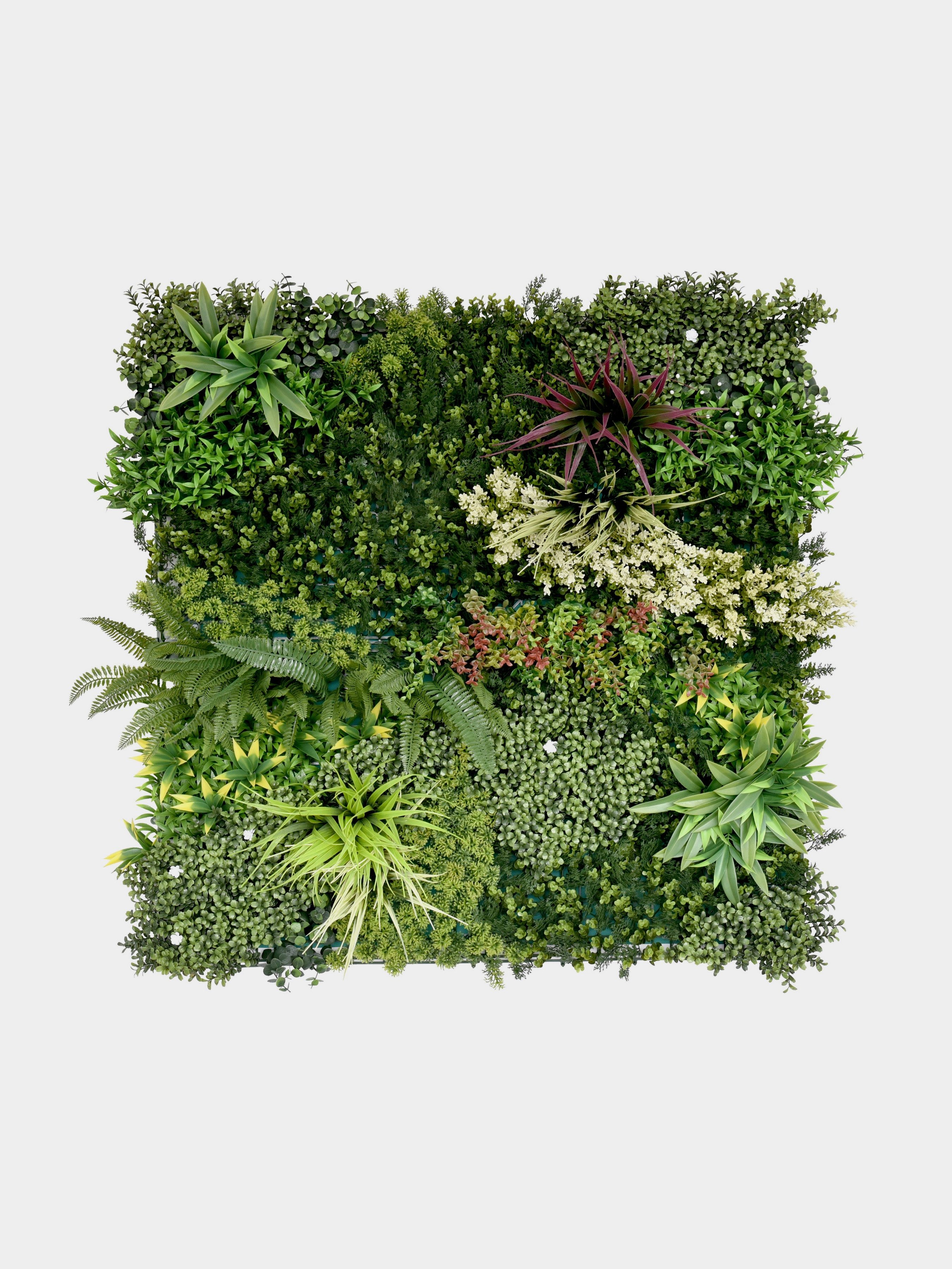 Декор Engard Декоративне зелене покриття-фітостіна "Astreya" - купити за вигідною ціною у Києві ...