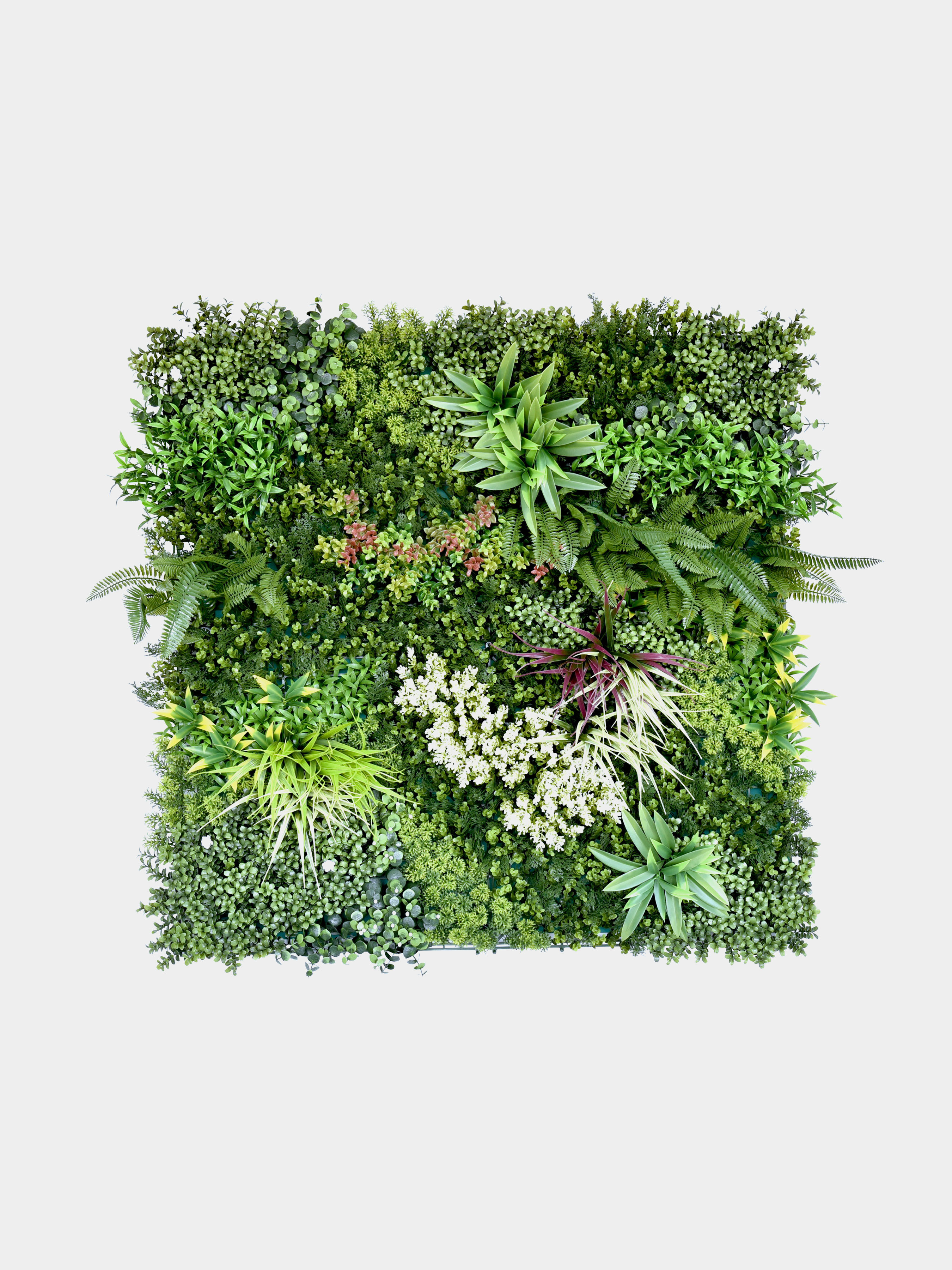 Декор Engard Декоративне зелене покриття-фітостіна "Afina" - купити за вигідною ціною у Києві ...