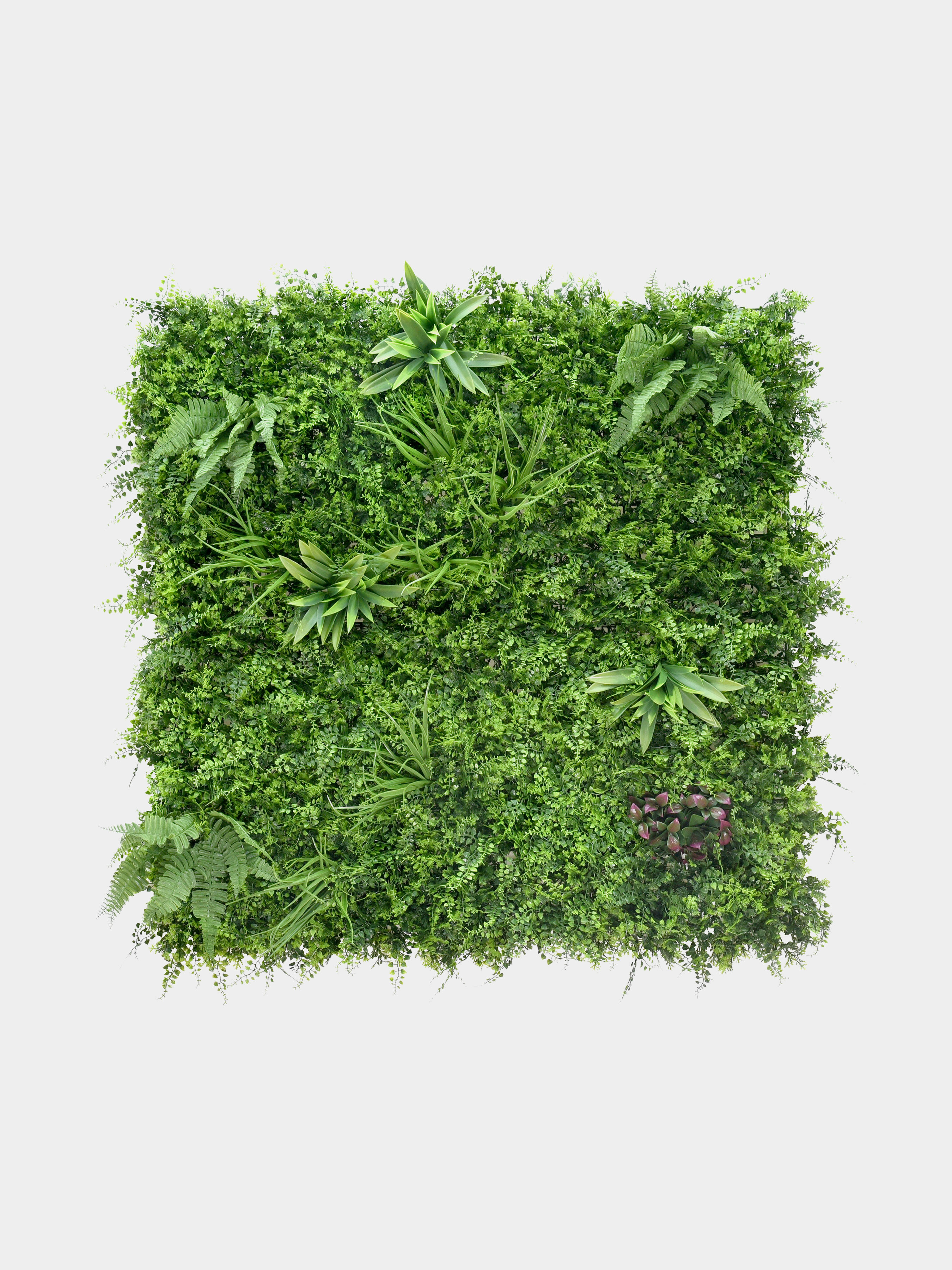 Декор Engard Декоративне зелене покриття-фітостіна "Valley" - купити за вигідною ціною у Києві ...