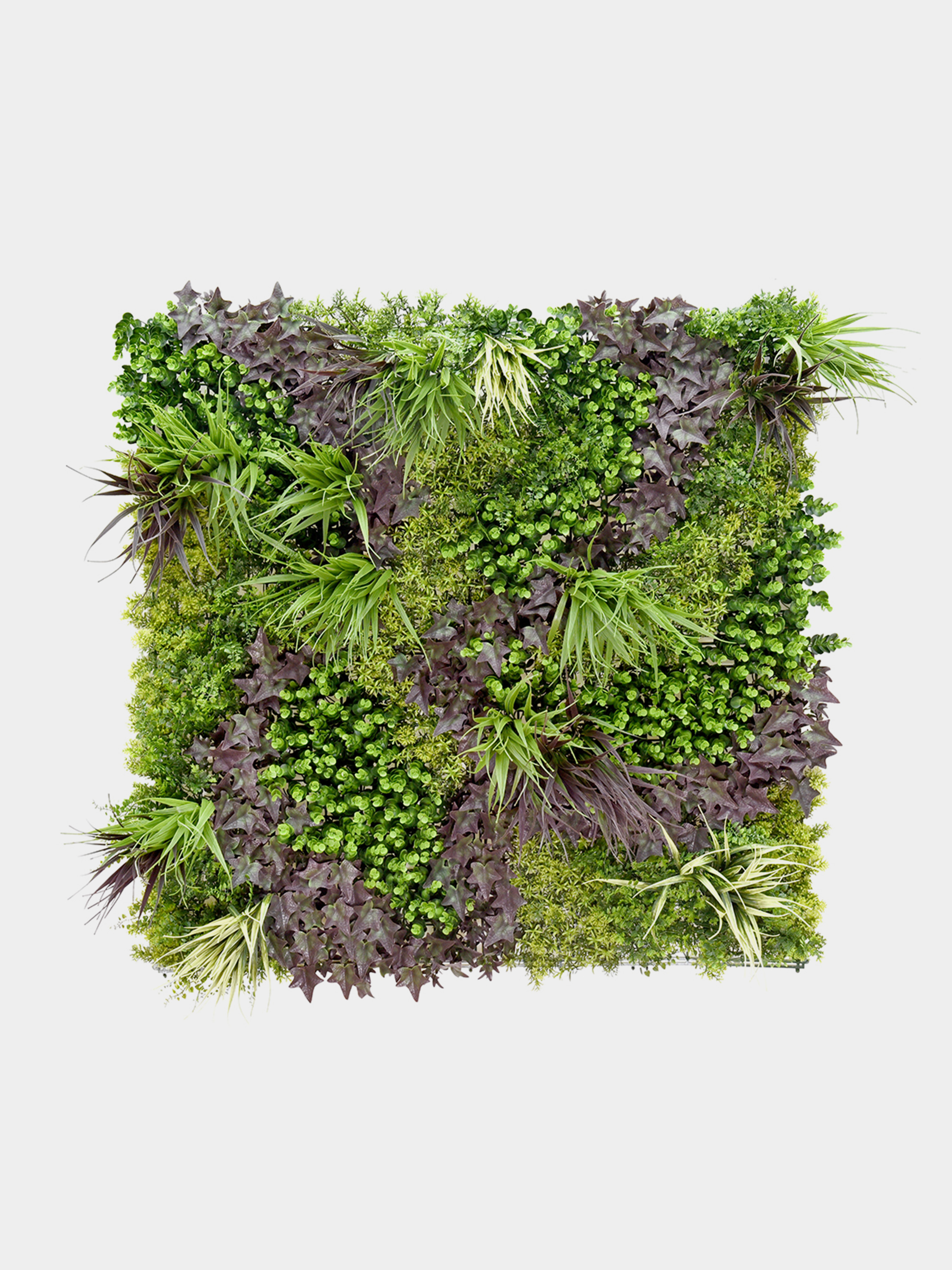 Декор Engard Декоративне зелене покриття-фітостіна "Monet Gardens ...