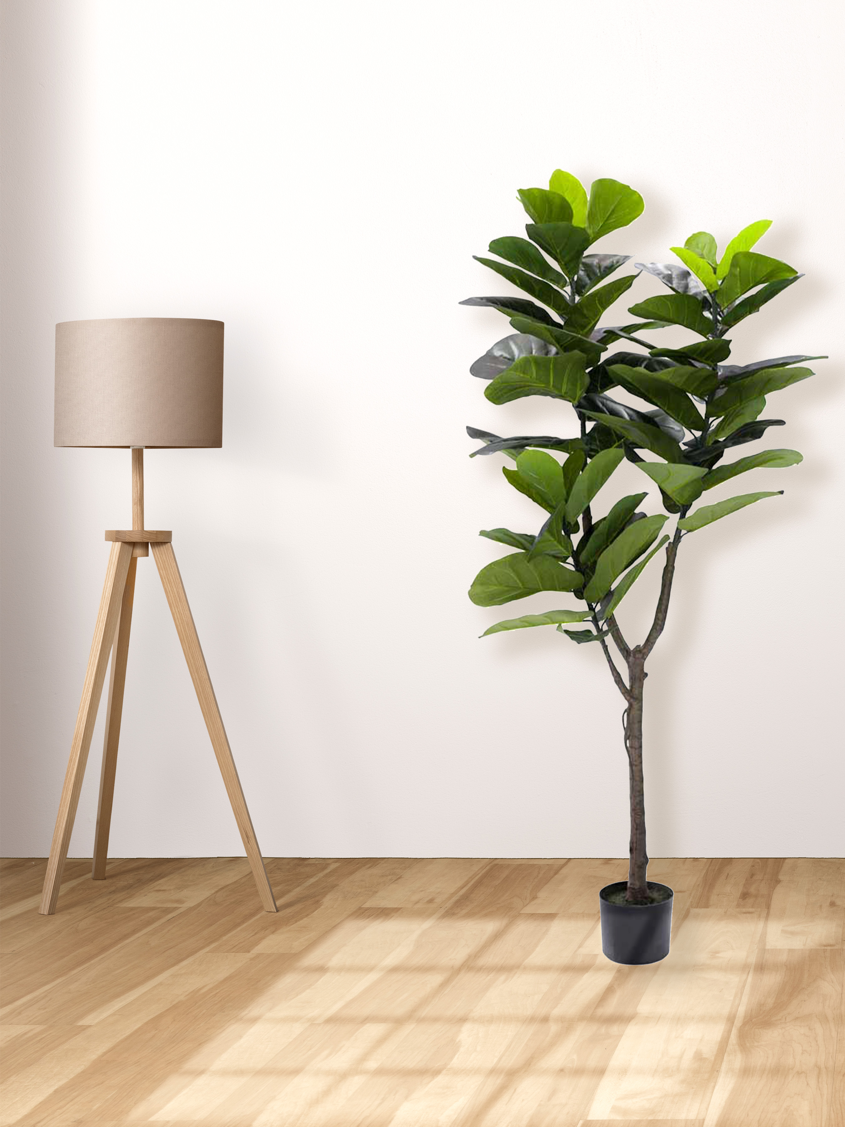 Декор Engard Штучна рослина "Fiddle" - купити за вигідною ціною у Києві, Україні | INTERTOP