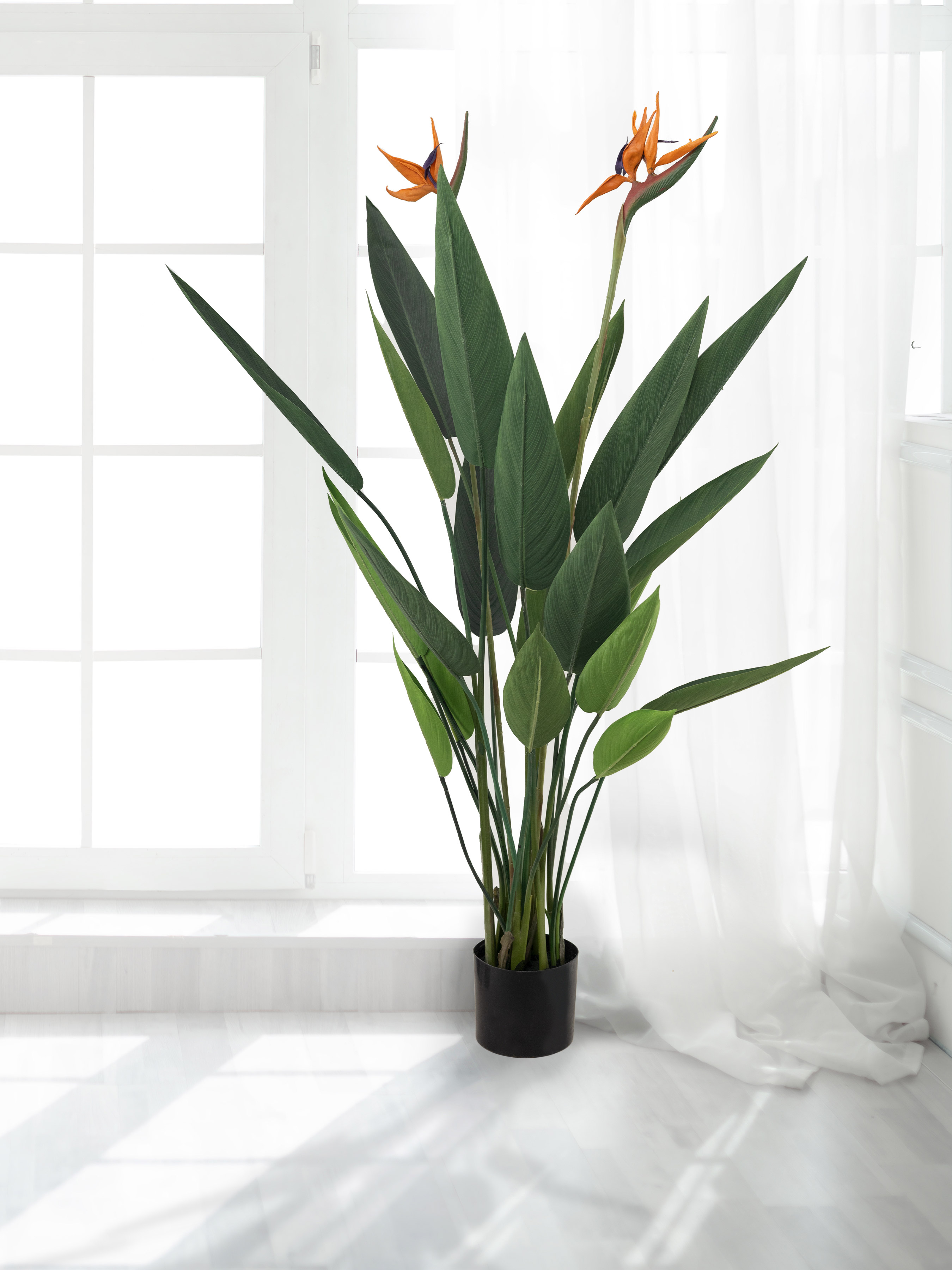 Декор Engard Штучна рослина "Strelitzia" - купити за вигідною ціною у Києві, Україні | INTERTOP