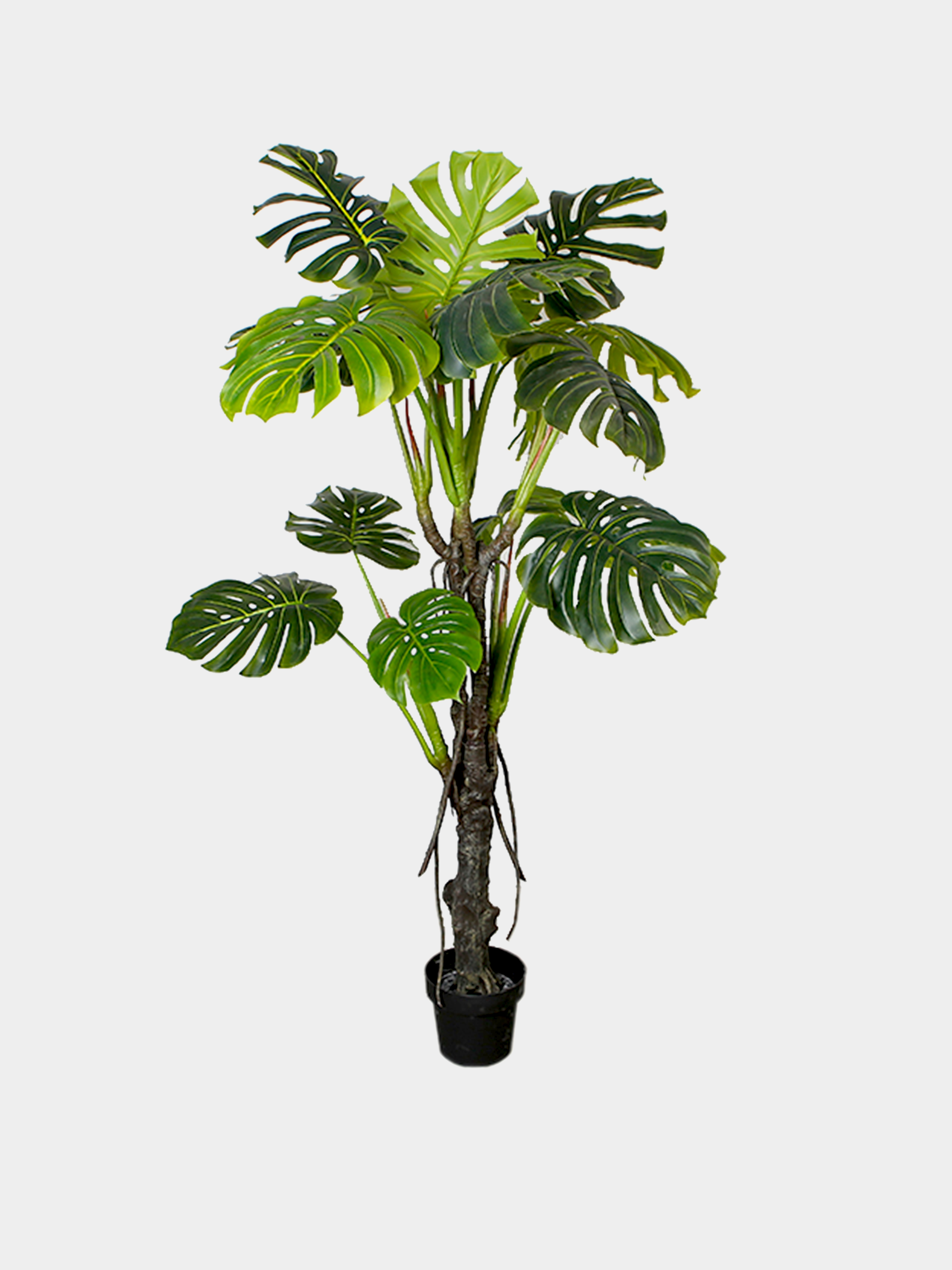 Декор Engard Штучна рослина "Monstera" - купити за вигідною ціною у Києві, Україні | INTERTOP